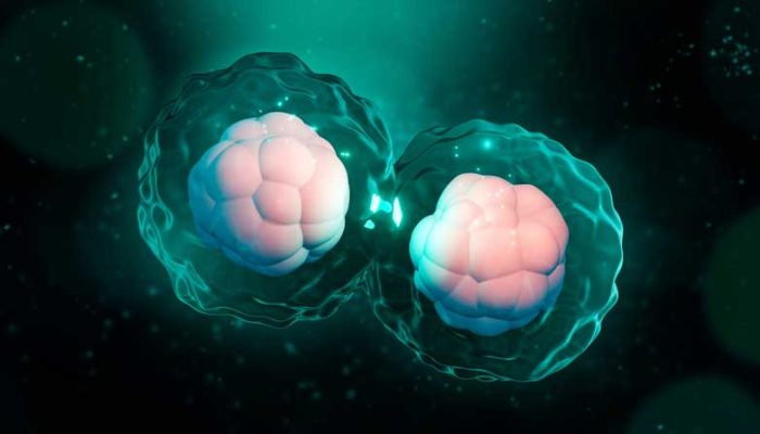 Amniotic Derived Stem Cell Therapy In California | R3 Stem Cell